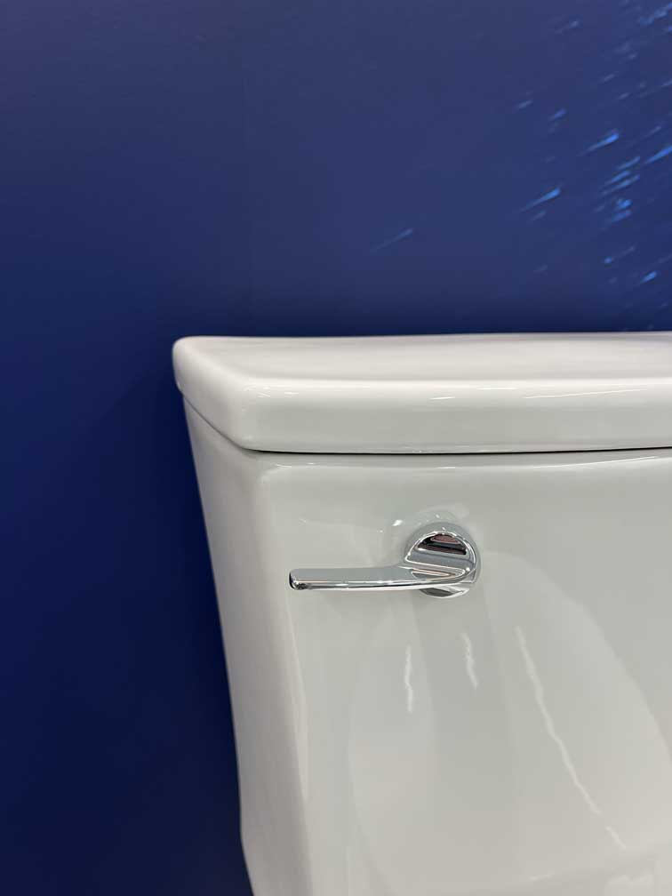 Flush Facts Every Plumber Should Know | Niagara Conservation